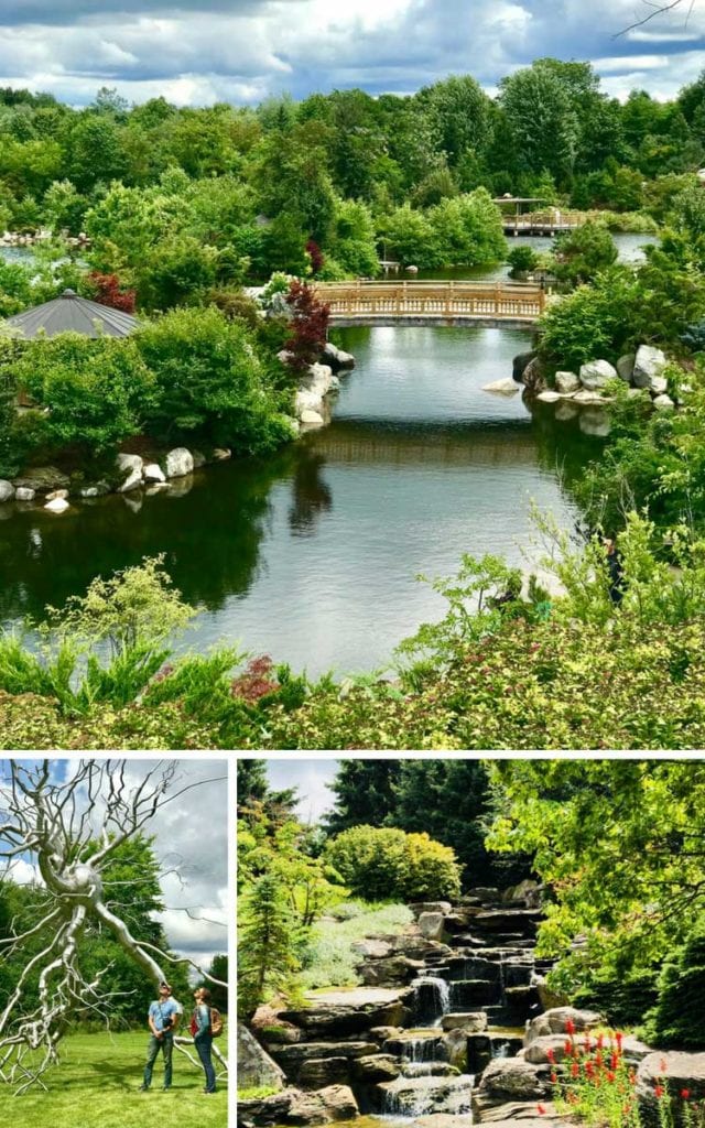 Things to Do in Grand Rapids MI