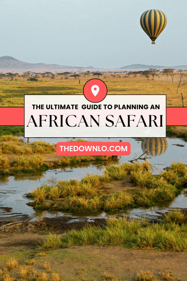 Ultimate Guide to Planning an African Safari Adventure