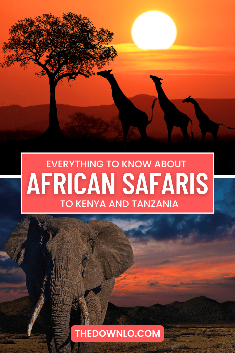 Ultimate Guide to Planning an African Safari Adventure