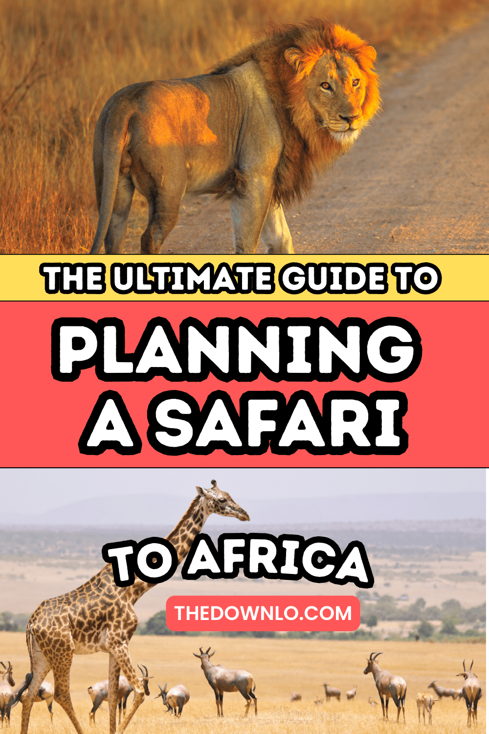 Ultimate Guide to Planning an African Safari Adventure