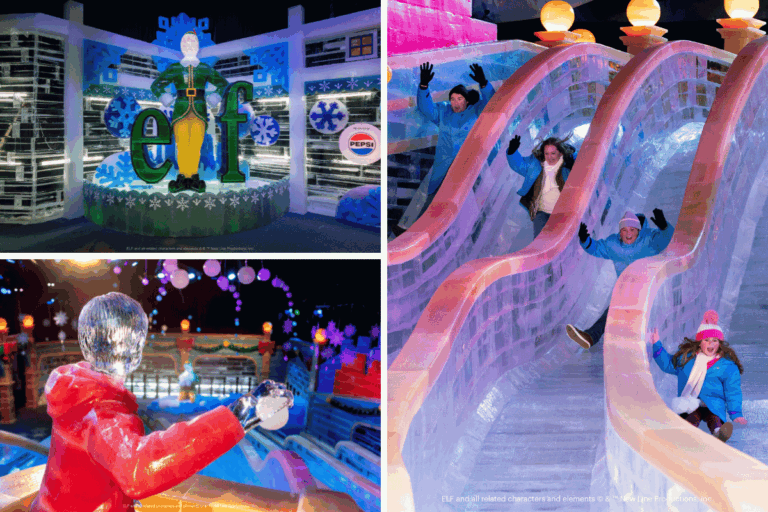 Fun Things to do in Dallas in Winter